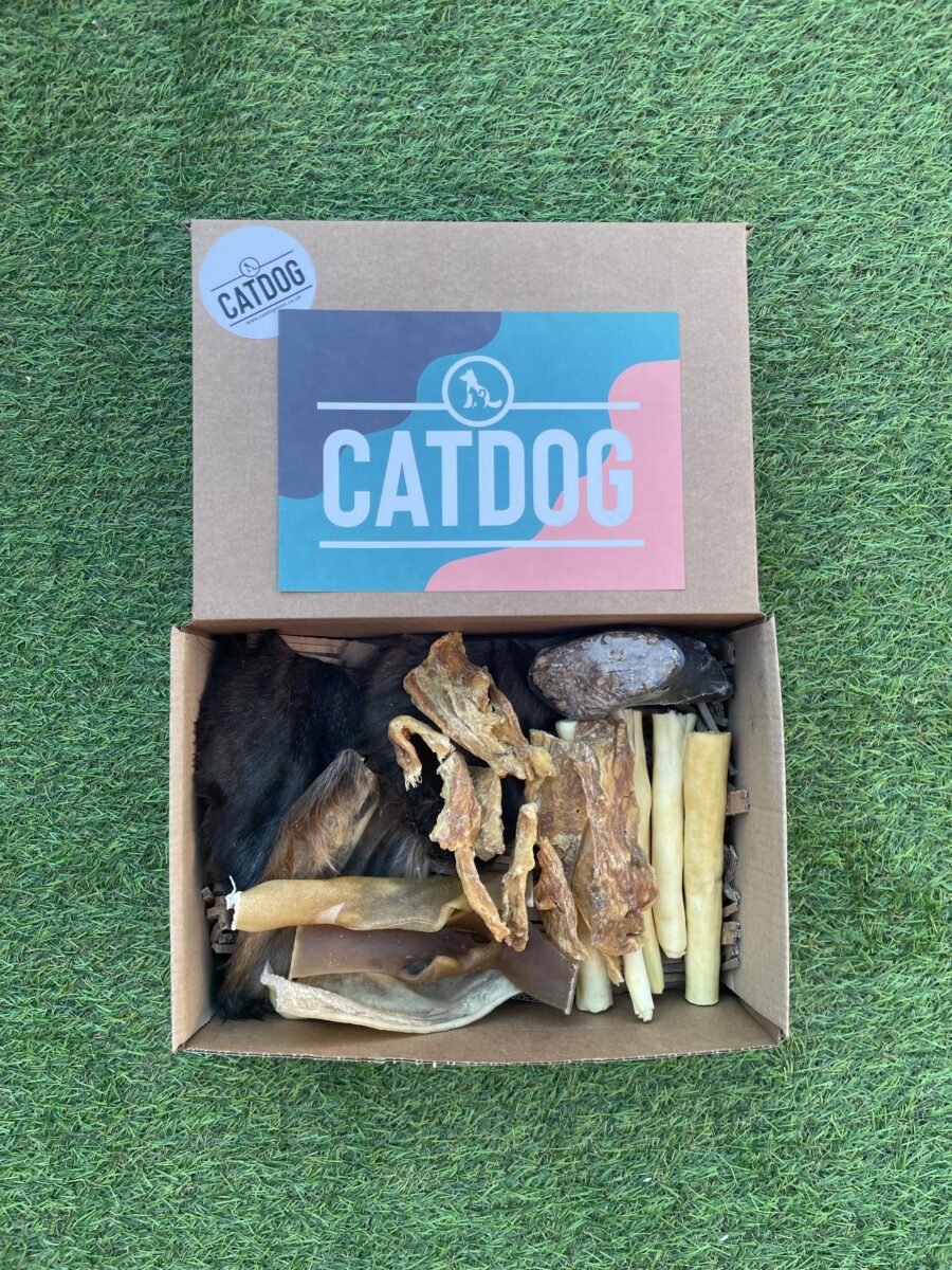 The Buffalo Box - CatDog Ltd